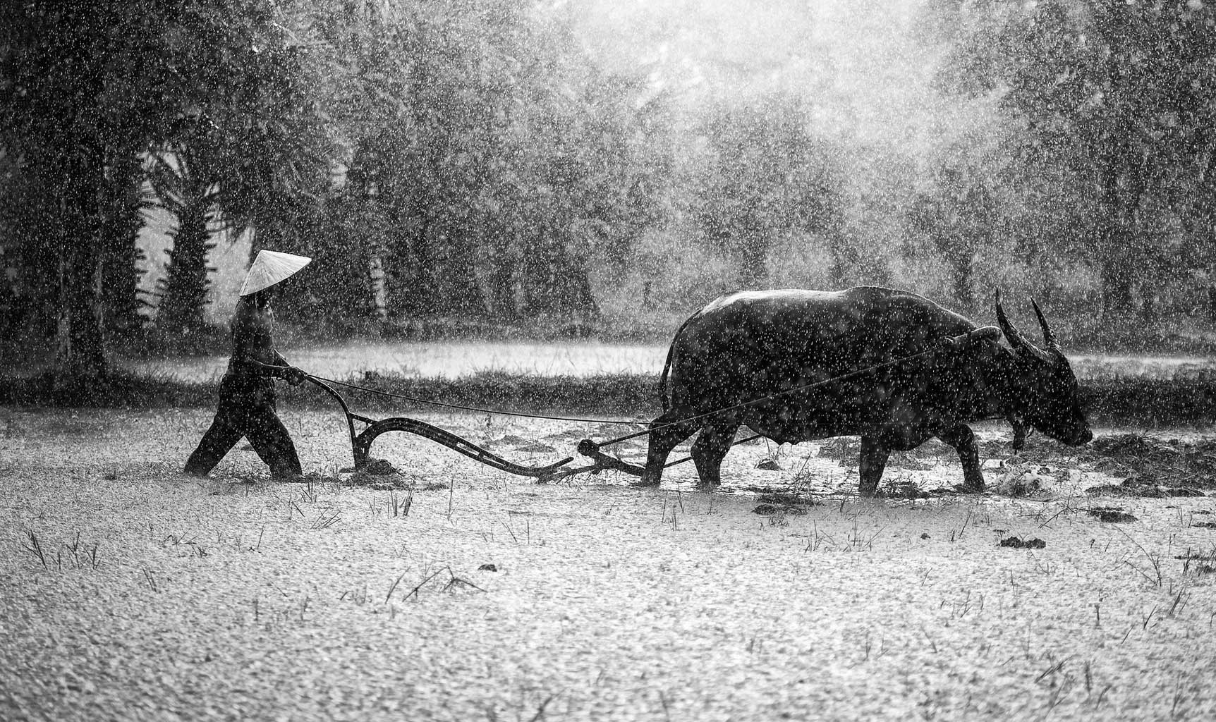 Life Is Fine By Langston Hughes, Famous Poem