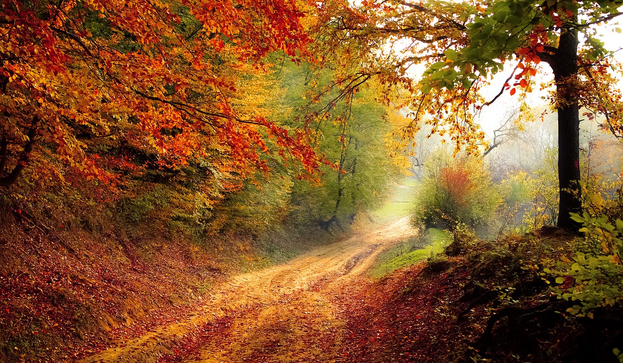 Write A Poem Inspired By A Picture